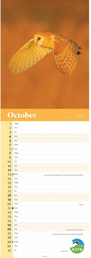RSPB Uilen Slimline Kalender 2025 | bol