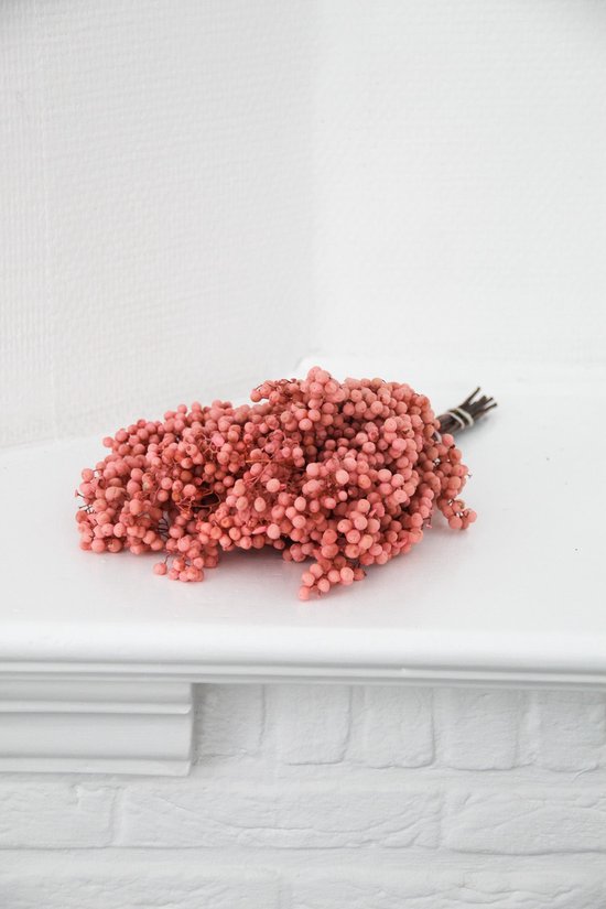 Maison d'Abri - Decoratiemateriaal 'Pepperberry' (200gr, Light pink) | bol