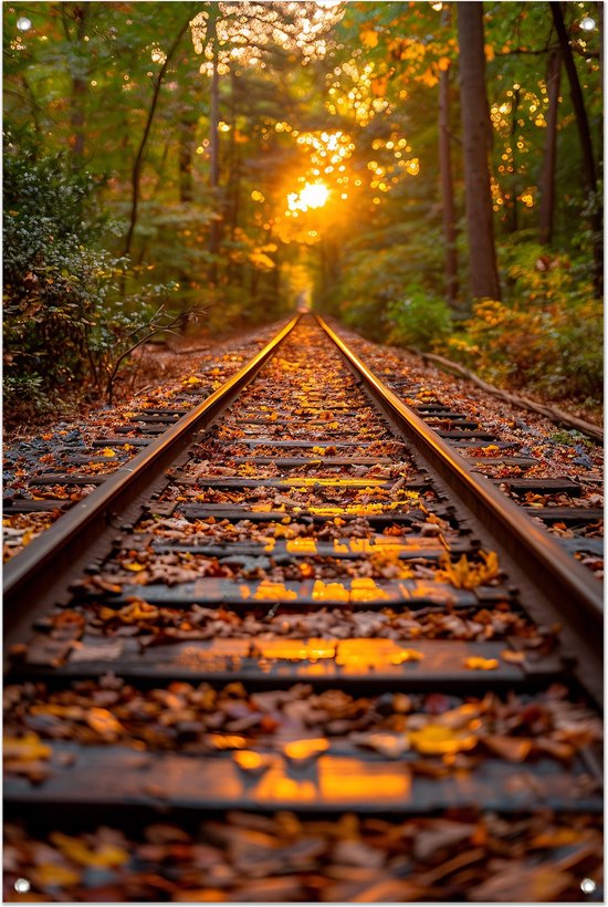 Treinspoor posters - Vervoer poster - Tuinposters Bomen - Schutting ...