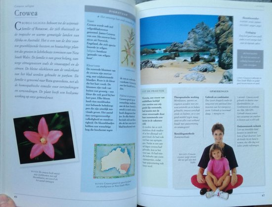 BLOESEMTHERAPIE, Carol Rudd | 9783829015103 | Boeken | bol.com