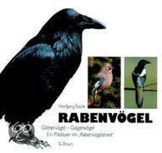 Rabenvögel, Wolfgang Epple | 9783765081354 | Boeken | bol