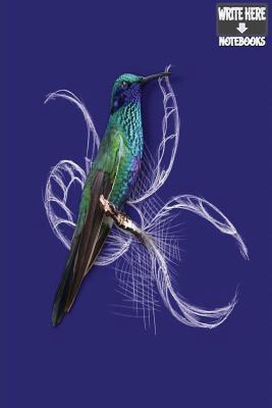 Write Here Notebooks, Write Here Notebooks | 9781546536529 | Boeken ...