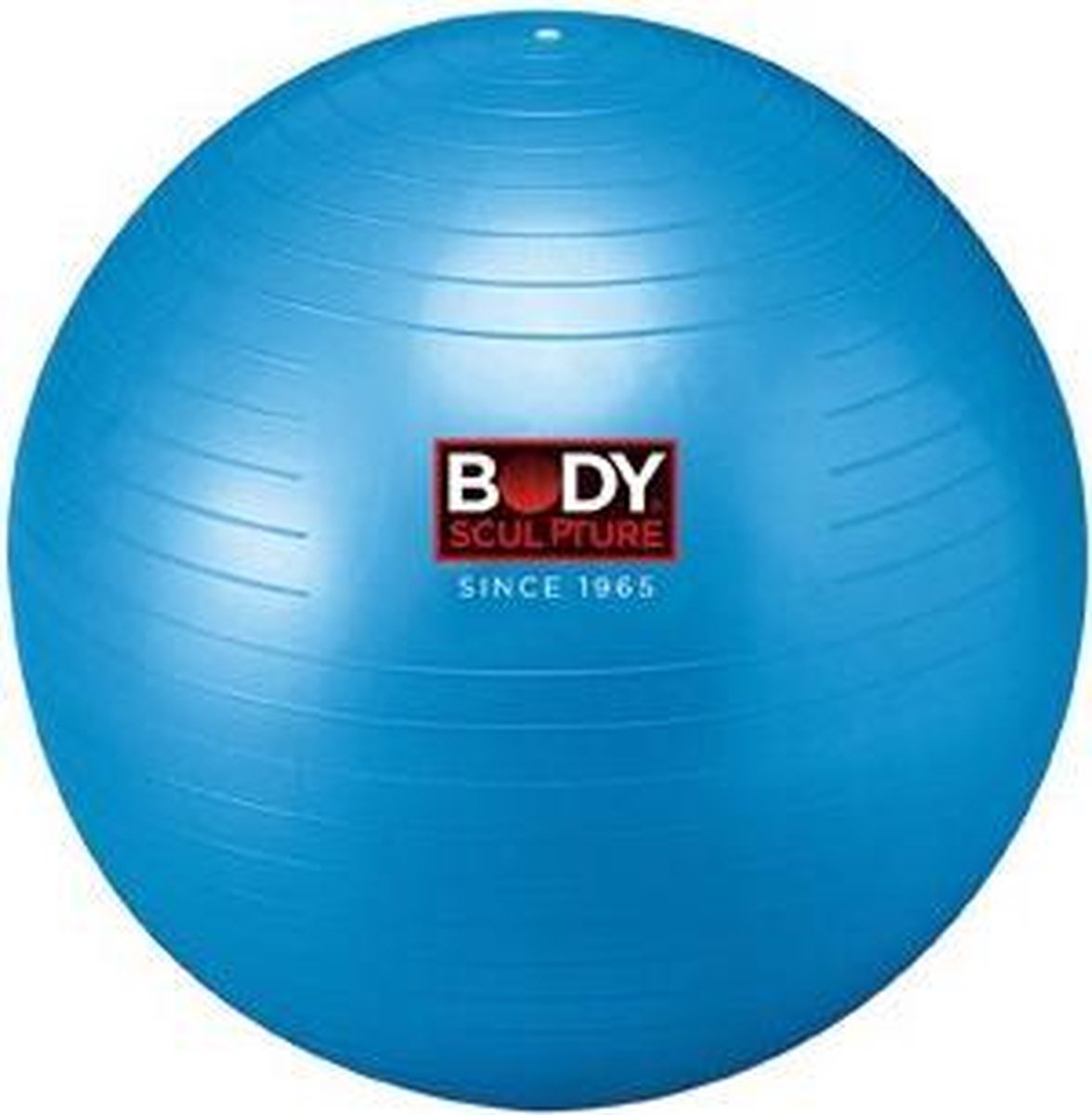 Body Sculpture Fitnessbal - Gymbal - Yogabal - 65 cm - PVC - Blauw ...