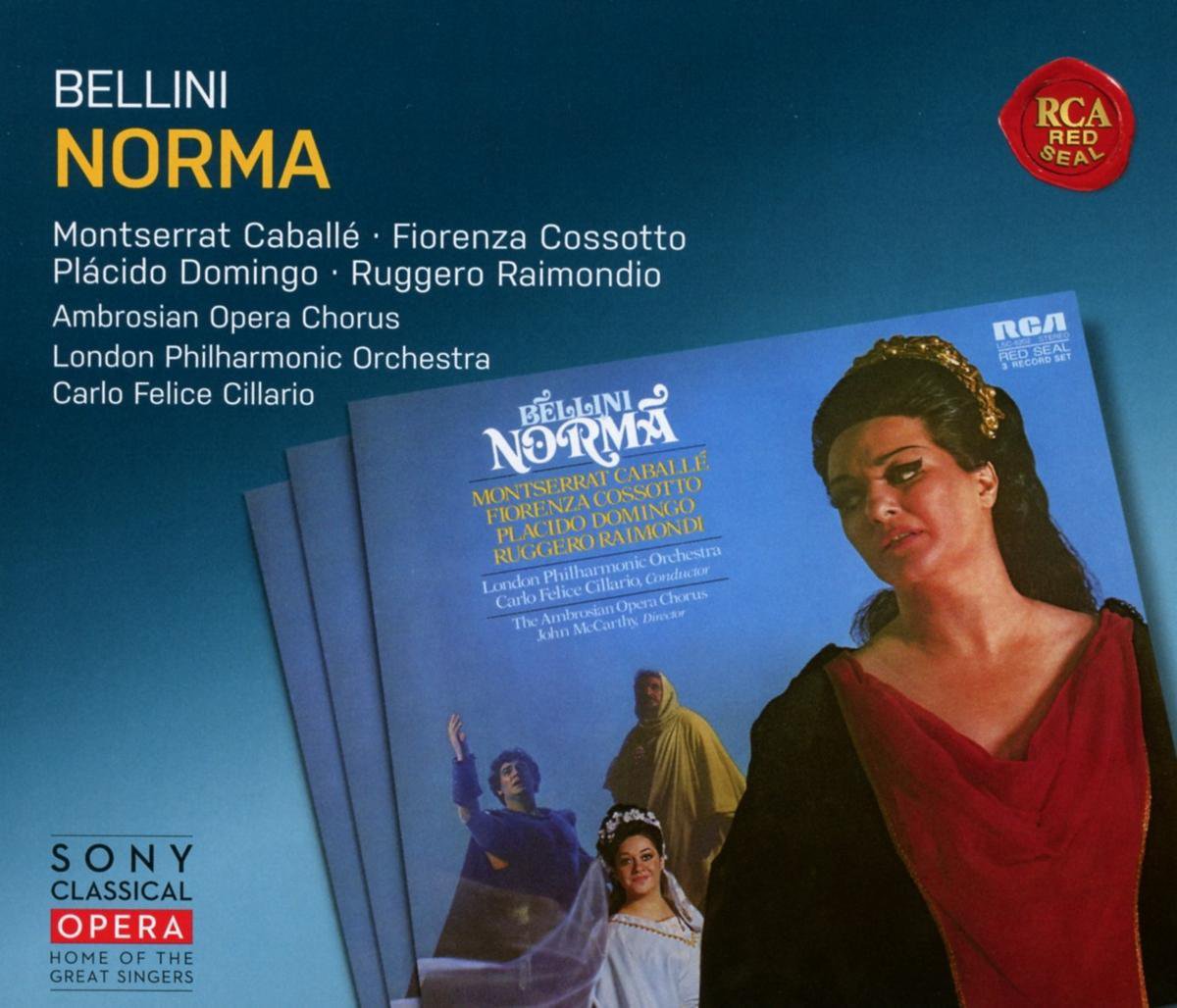 Bellini/Norma, V. Bellini | CD (album) | Muziek | bol.com