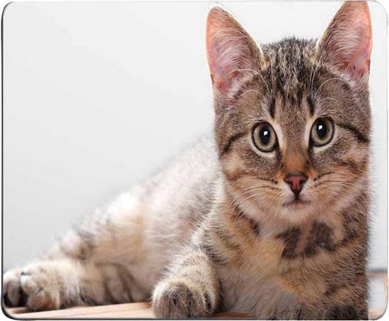 Leuke Muismat Met Kat 180X220X2 Mm | bol