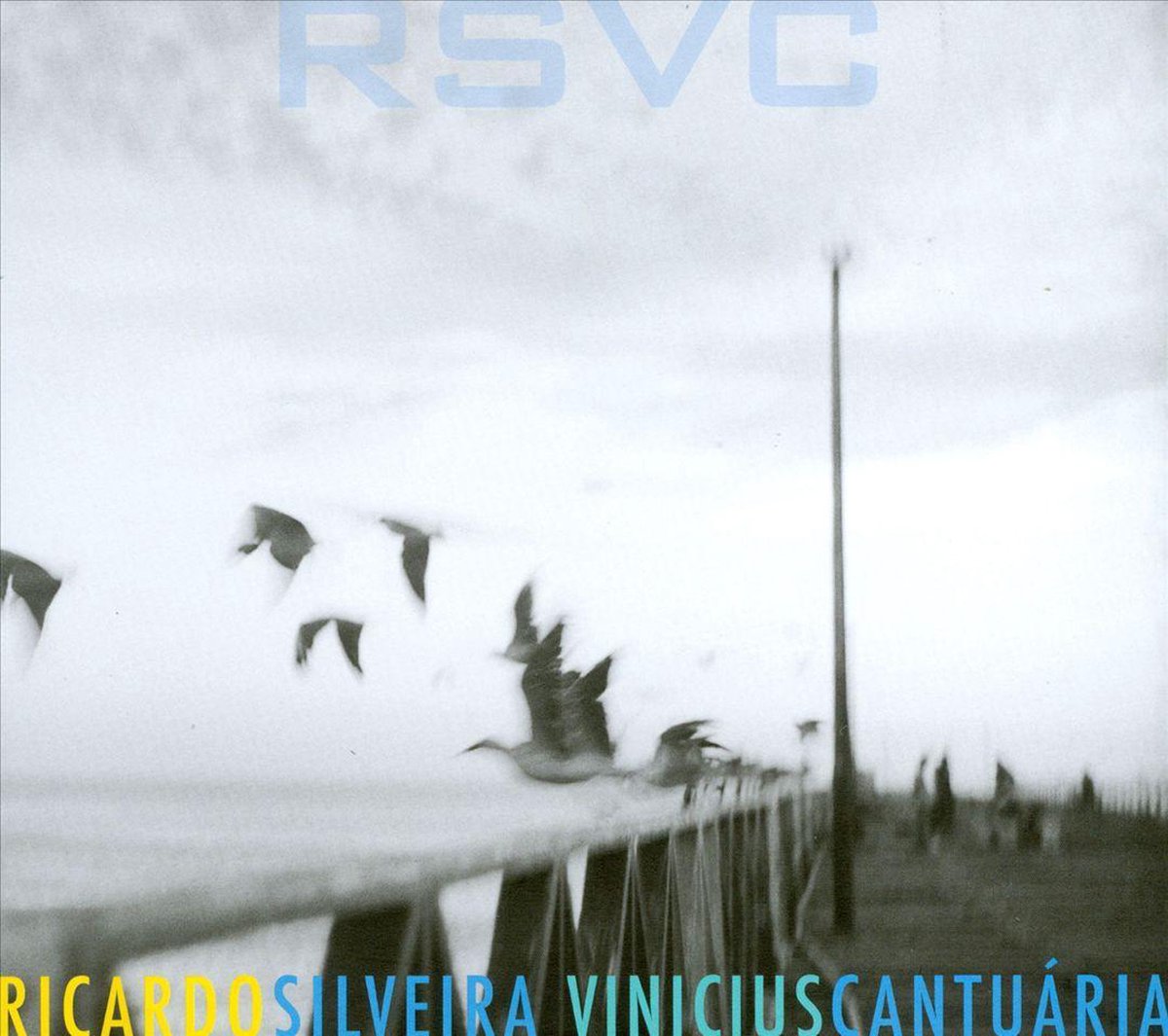 RSVC, Vinicius Cantuaria | CD (album) | Muziek | bol