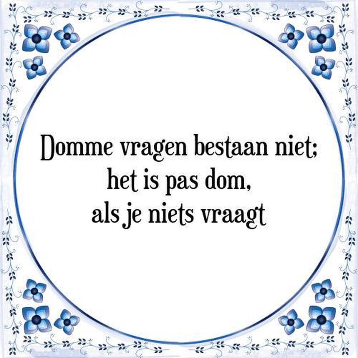 Tegeltje met Spreuk (Tegeltjeswijsheid): Domme vragen bestaan niet; het is pas dom,... | bol.com