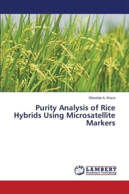 Purity Analysis of Rice Hybrids Using Microsatellite Markers ...