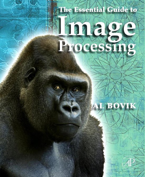 Essential Guide To Image Processing | 9780123744579 | Alan Bovik | Boeken | bol