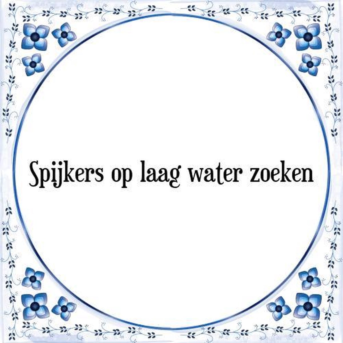 Tegeltje met Spreuk (Tegeltjeswijsheid): Spijkers op laag water zoeken + Kado... | bol.com