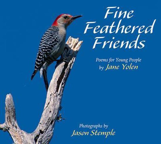 Fine Feathered Friends, Jane Yolen | 9781590781937 | Boeken | bol