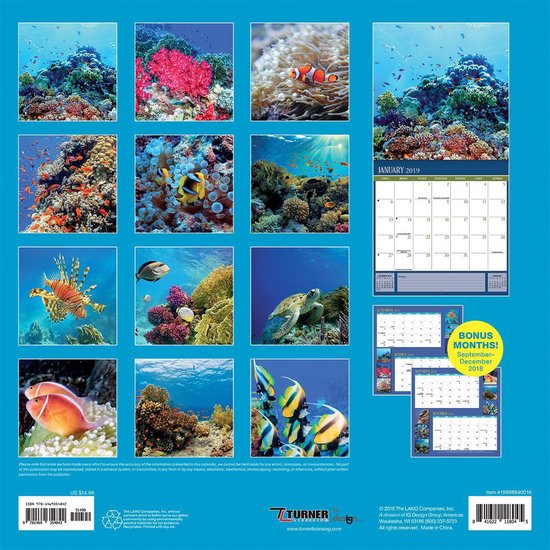 Coral Reef 2019 Kalender | bol.com