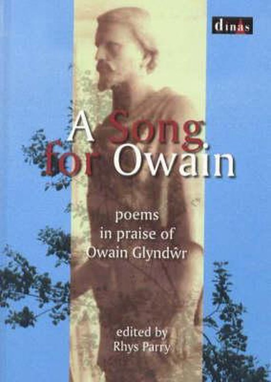 Cerddi Owain Glyndwr Poetry, Rhys Parry | 9780862437381 | Boeken | bol