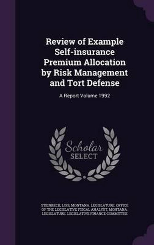 Review of Example Self-Insurance Premium Allocation by Risk Management ...