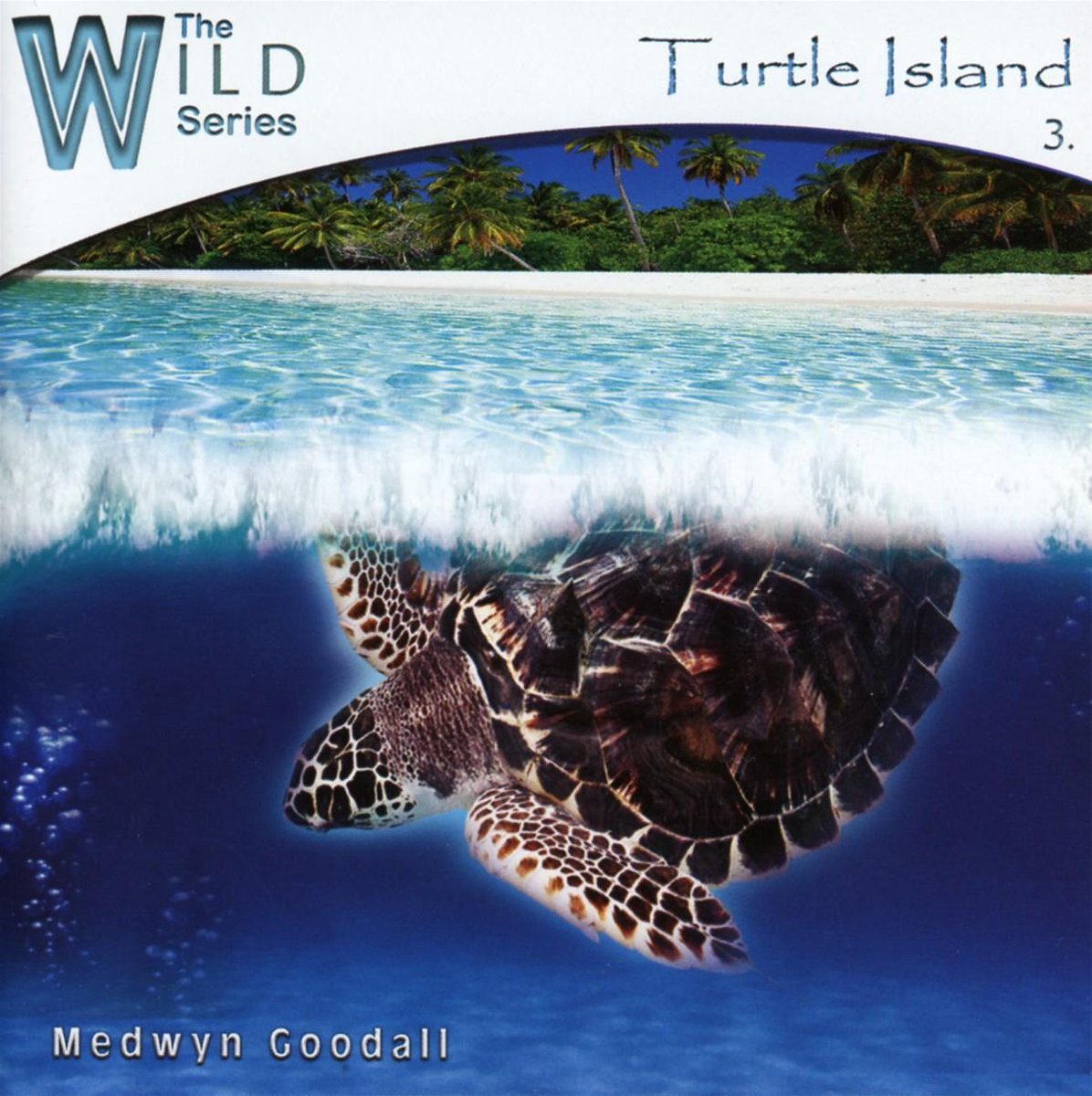 Turtle Island, Medwyn Goodall | CD (album) | Muziek | bol.com