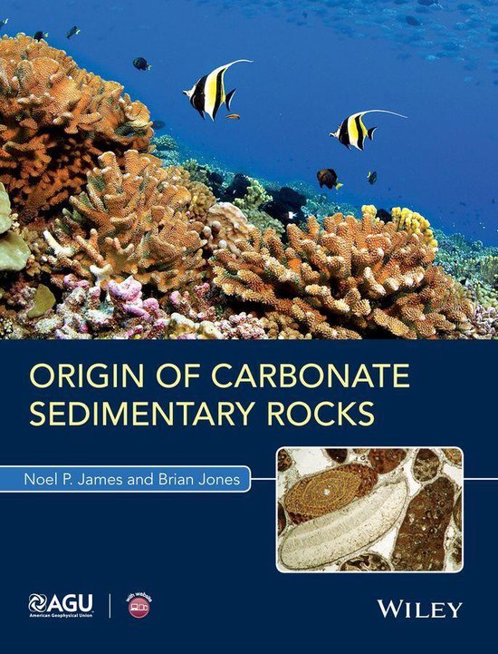 Wiley Works - Origin of Carbonate Sedimentary Rocks (ebook), Noel P ...