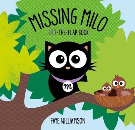 Missing Milo, Faye Williamson | 9781910851715 | Boeken | bol