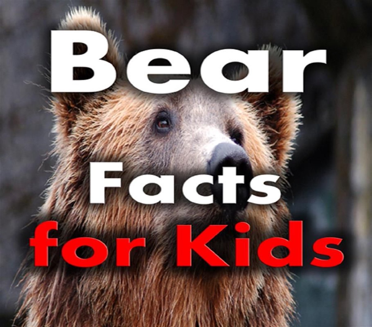 Bear Facts for Kids (ebook), Joseph Eleyinte | 9788828329299 | Boeken | bol