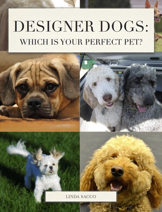 Designer Dogs: Which is Your Perfect Pet? (ebook), Linda Sacco ...