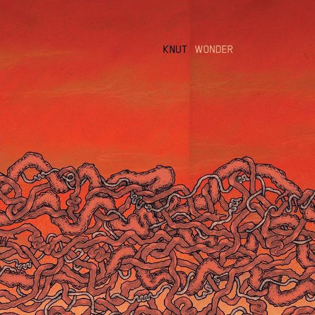 Wonder, Knut | CD (album) | Muziek | bol