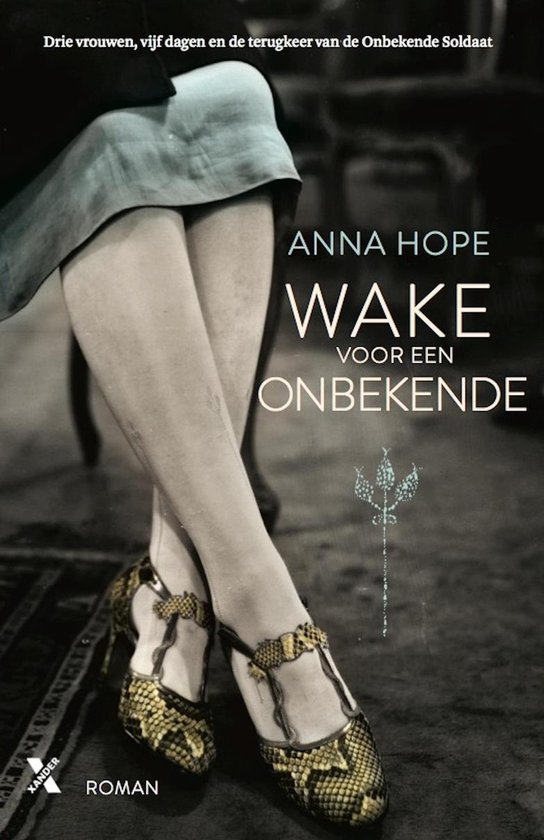 Wake voor een onbekende (ebook), Anna Hope | 9789401602525 | Boeken | bol