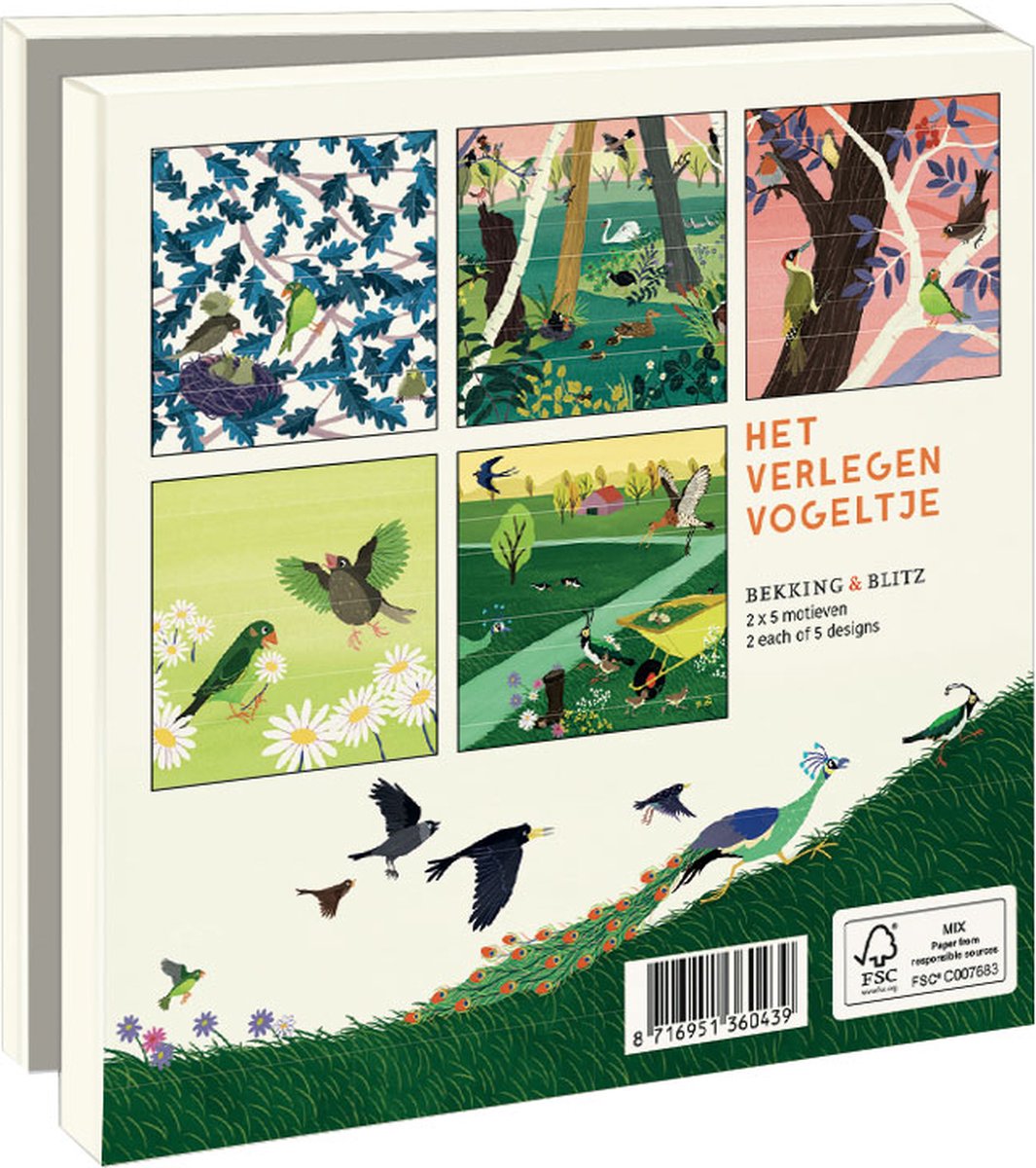 Bekking & Blitz - Wenskaartenmapje - Set wenskaarten - Kunstkaarten - Museumkaarten -... | bol.com