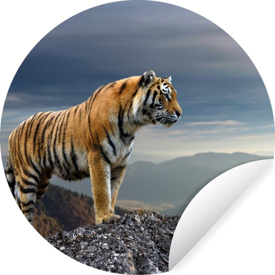 WallCircle - Behangcirkel zelfklevend - Behangsticker - Tijger - Rots - Bergen -... | bol