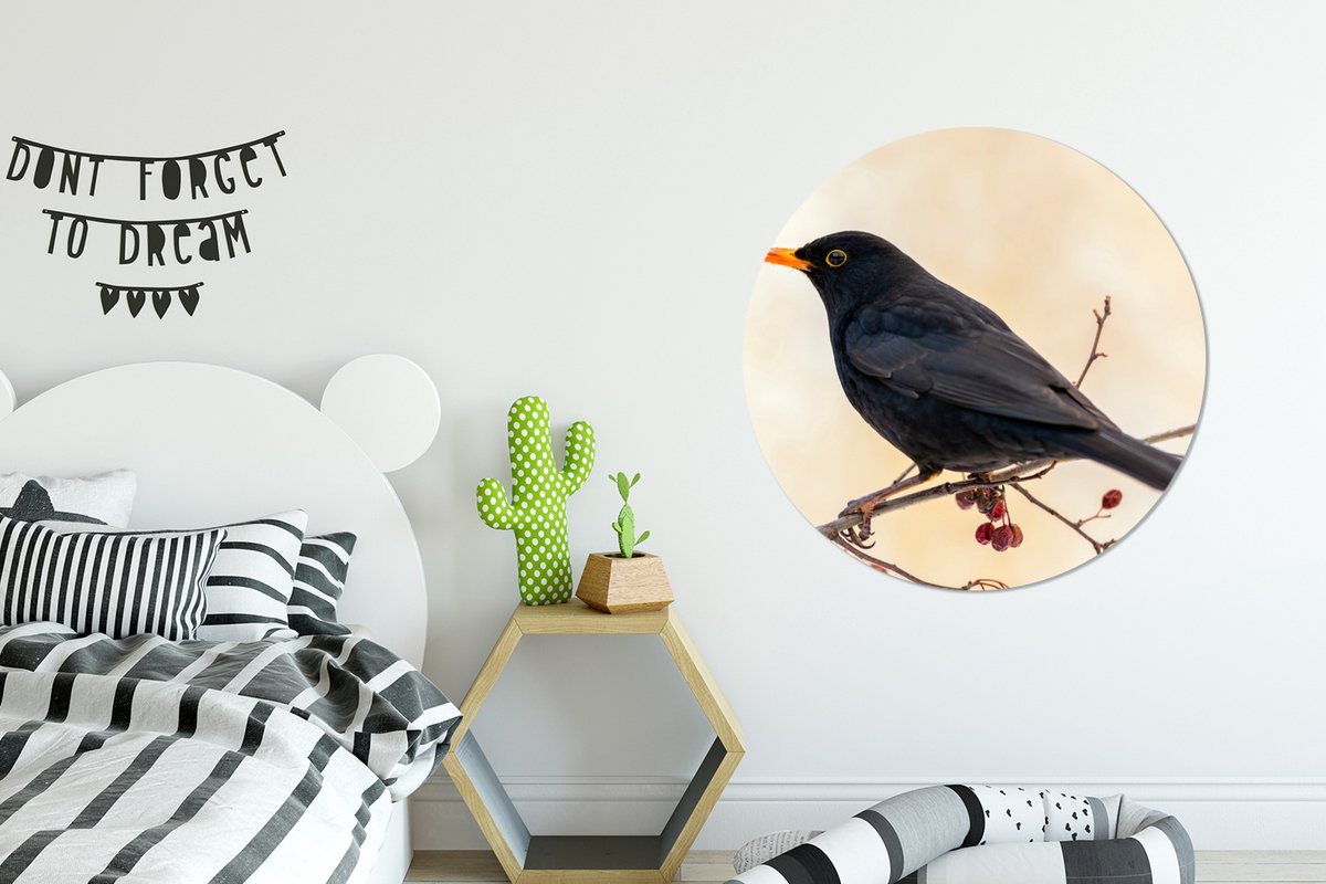 WallCircle - Behangcirkel - Merel - Vogel - Takken - Bes - Zelfklevend behang -... | bol.com