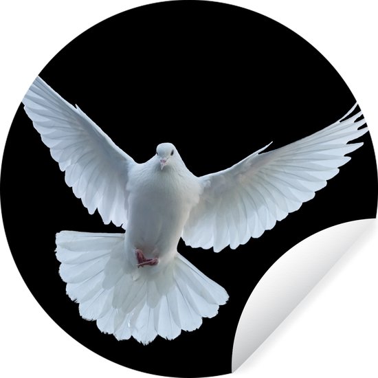 Behangcirkel - Duif - Wit - Vogel - Zelfklevend behang - 120x120 cm ...