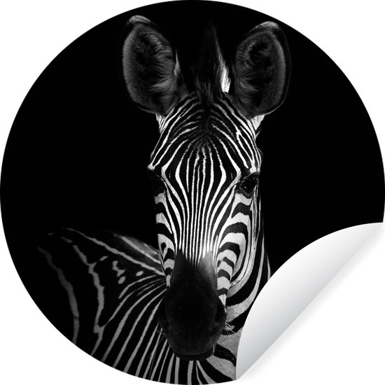 Behangcirkel - Zebra - Portret - Wilde dieren - Zwart wit - Zelfklevend behang - Rond... | bol