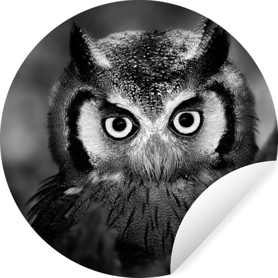 Behangcirkel - Wilde dieren - Uil - Vogel - Zwart - Wit - ⌀ 140 cm - Zelfklevend... | bol