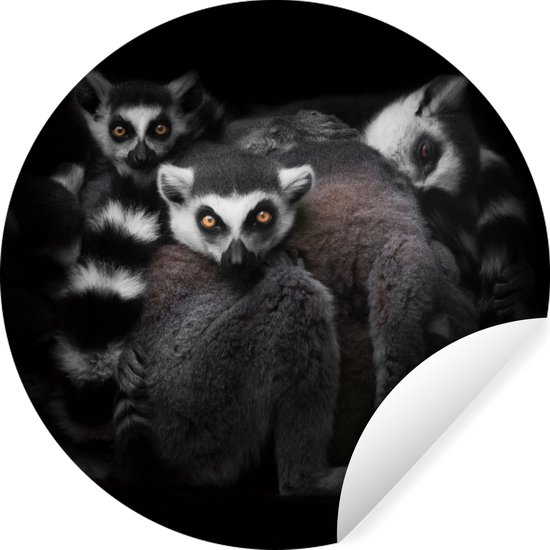 Behangcirkel - Zelfklevend behang - Maki - Dieren - Wild - Zwart wit - 100x100 cm -... | bol