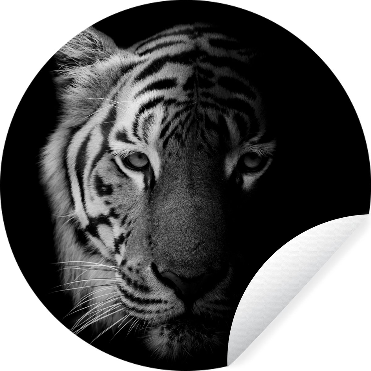 Behangcirkel - Wilde dieren - Tijger - Zwart - Wit - Zelfklevend behang - 120x120 cm -... | bol.com