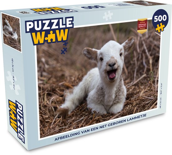 Puzzel Afbeelding van een net geboren lammetje - Legpuzzel - Puzzel 500 ...