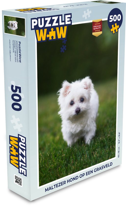 Puzzel Maltezer hond op een grasveld - Legpuzzel - Puzzel 500 stukjes | bol