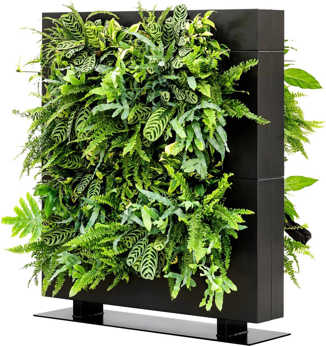 LiveDivider Plus 2 | bol