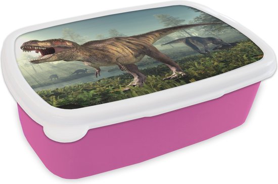 Broodtrommel Roze - Lunchbox - Brooddoos - Dino - Gras - Tekening ...