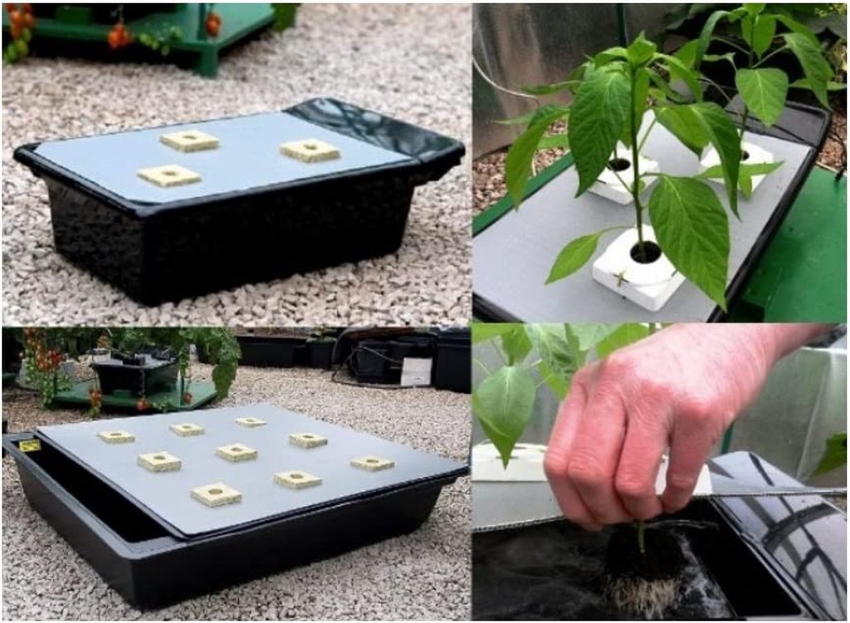 Gro-tank 205 NFT GT205 | bol.com