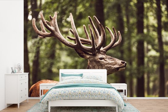 Behang - Fotobehang Hert - Natuur - Gewei - Bos - Dieren - Breedte 600 ...