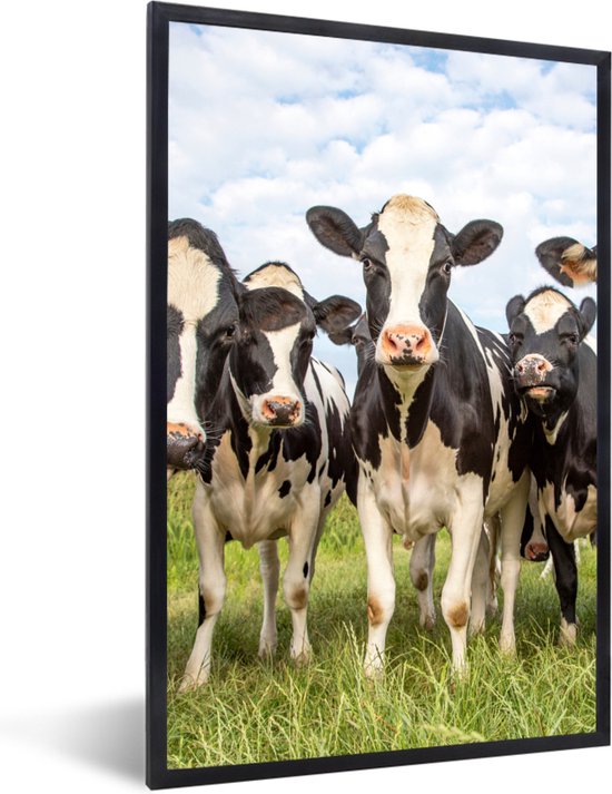 Cadre photo - Vache - Animaux - Nature - Herbe - Vaches - Affiche ...