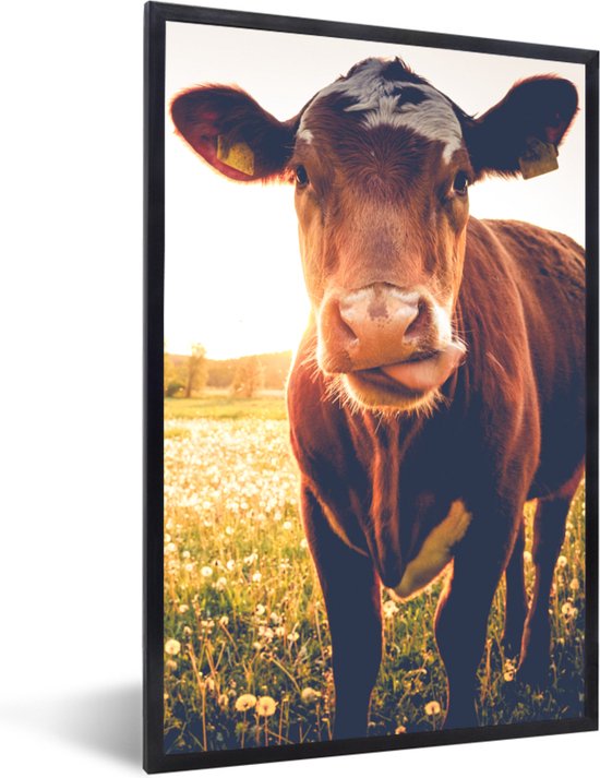 Cadre photo - Vache - Animaux - Nature - Soleil - Fleurs - Affiche ...