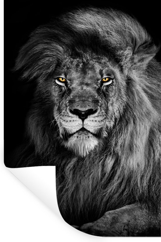Muurstickers - Sticker Folie - Leeuw - Ogen - Oranje - Zwart wit - Dieren - Portret -... | bol