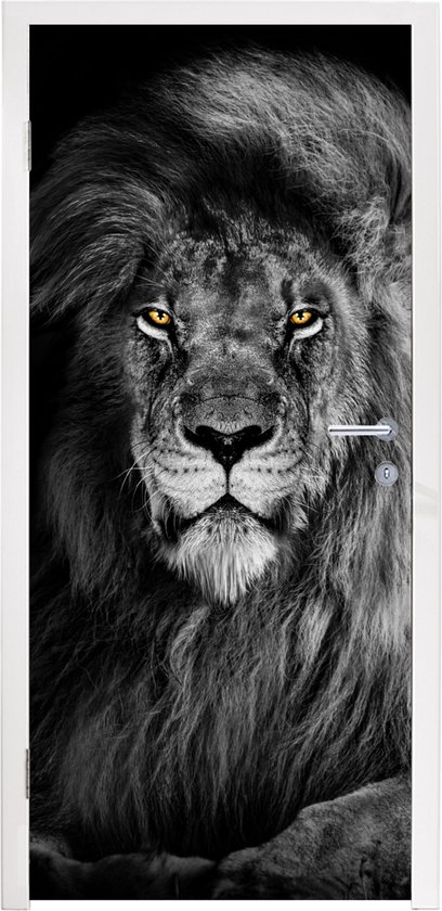 Deursticker Leeuw - Ogen - Oranje - Zwart wit - Dieren - Portret - 85x205 cm - Deurposter | bol.com