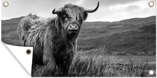 Schuttingposter Schotse Hooglander - Berg - Water - Natuur - Koe ...