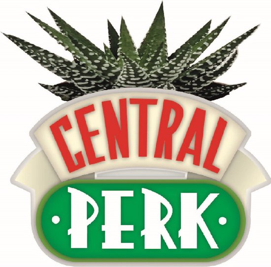 Friends: Central Perk Plant Pot | Games | bol