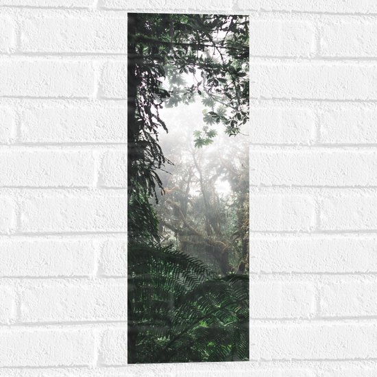 WallClassics - Muursticker - Begroeiing in Regenwoud - 20x60 cm Foto op ...