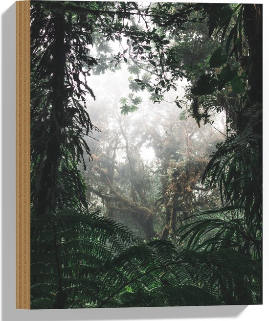 WallClassics - Hout - Begroeiing in Regenwoud - 30x40 cm - 12 mm dik ...