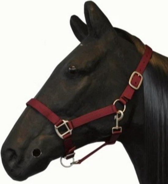 Excellent Horse Halster Classic - Paardenhalster - X-Full - Nylon - RVS ...