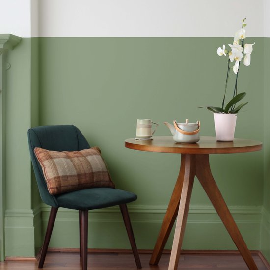 Rust-Oleum Groen Chalky Finish Muurverf - Kakigroen 2,5L | bol.com