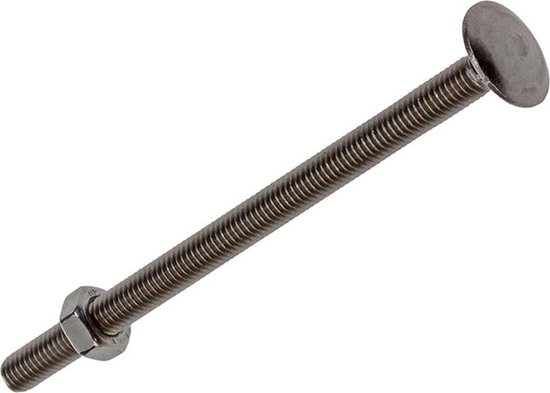Mack Rvs Houtbout Met Moer 2 Stuks M6 X 100 Mm | bol